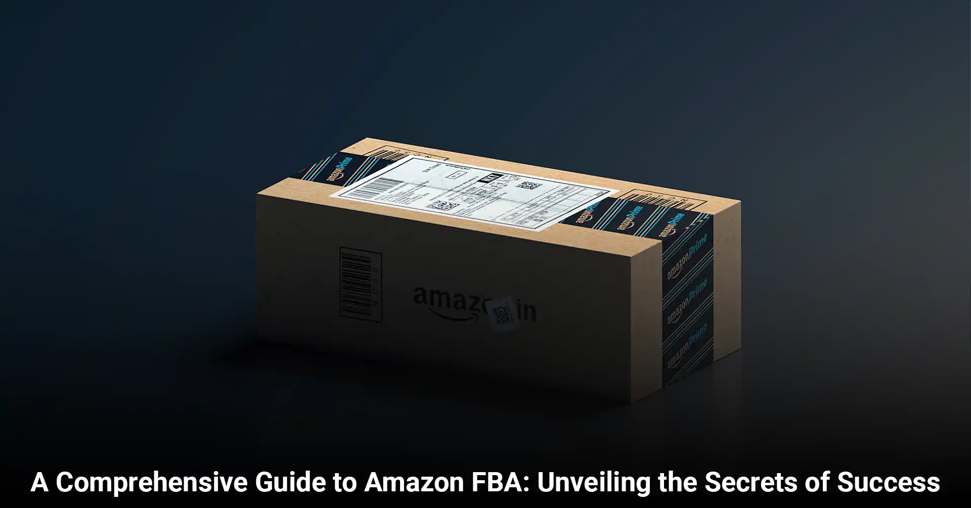 A Comprehensive Guide to Amazon FBA: Unveiling the Secrets of Success - IEMLabs Blog