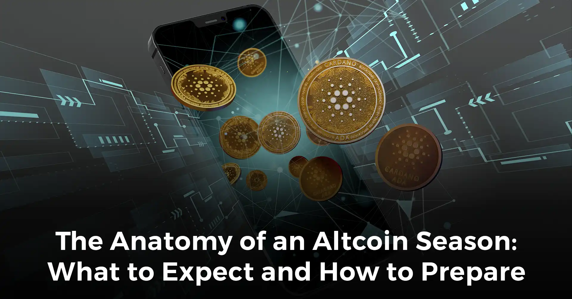 The Anatomy of an Altcoin Season: What to Expect and How to Prepare