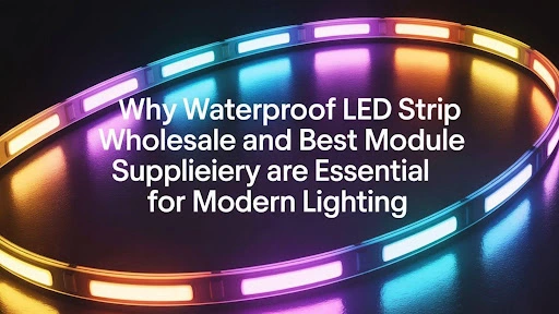 Why Waterproof LED Strip Wholesale and Best LED Module Supplier Are ...